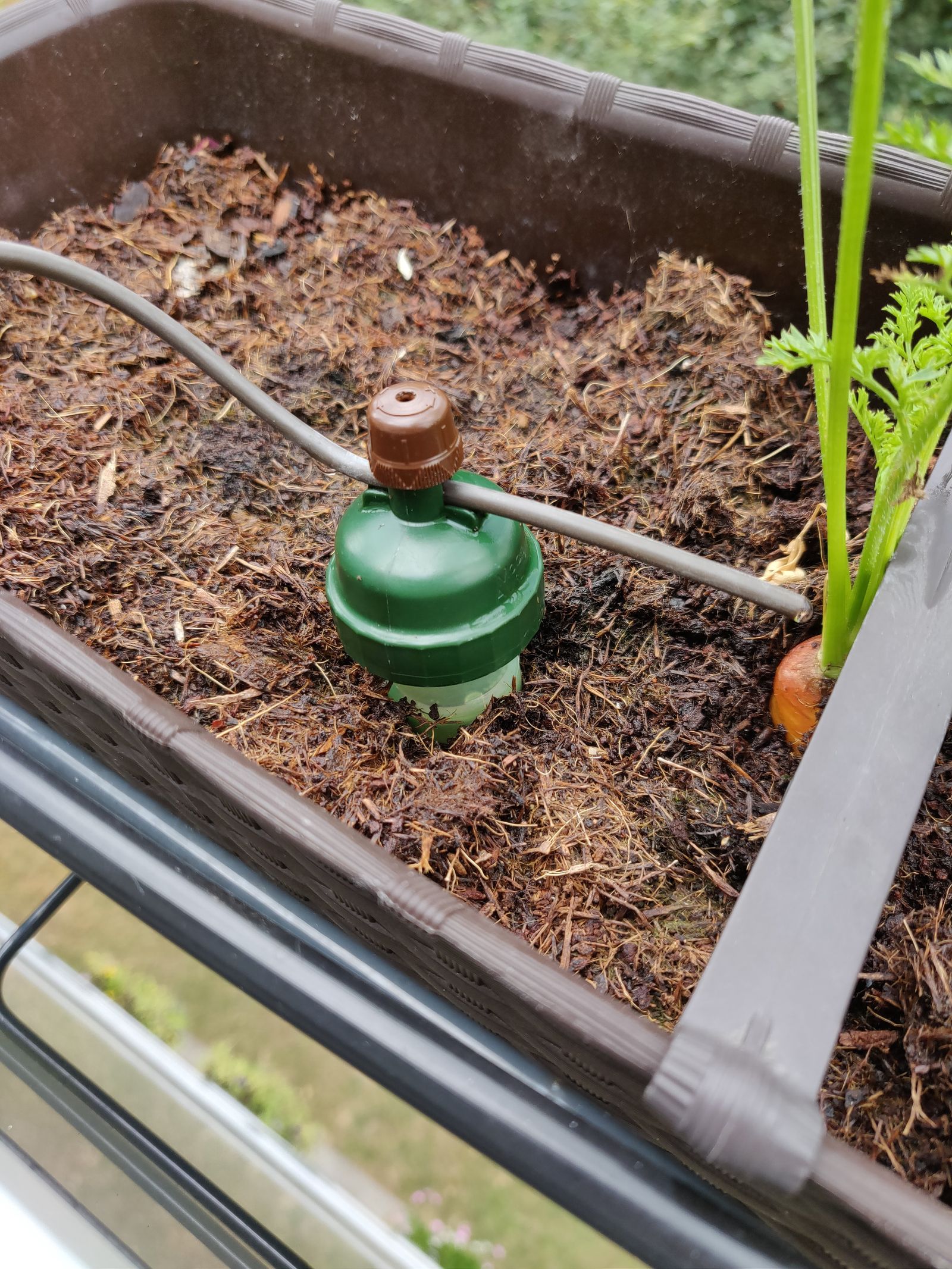 "Smart" Blumat Water Container with Home Assistant